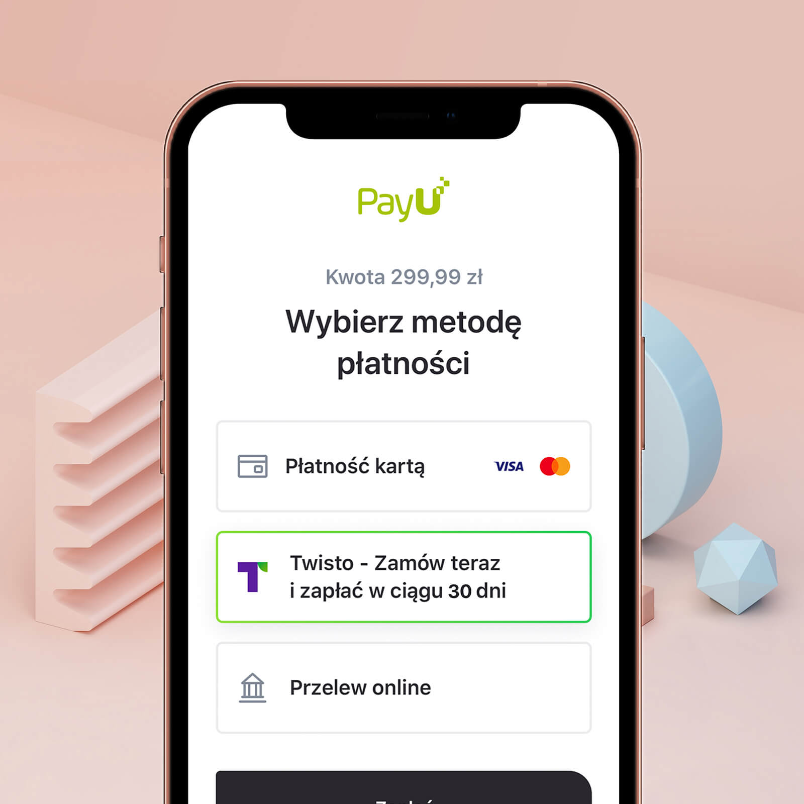 Płatności odroczone Twisto PayU Płacę później - Picky Pica
